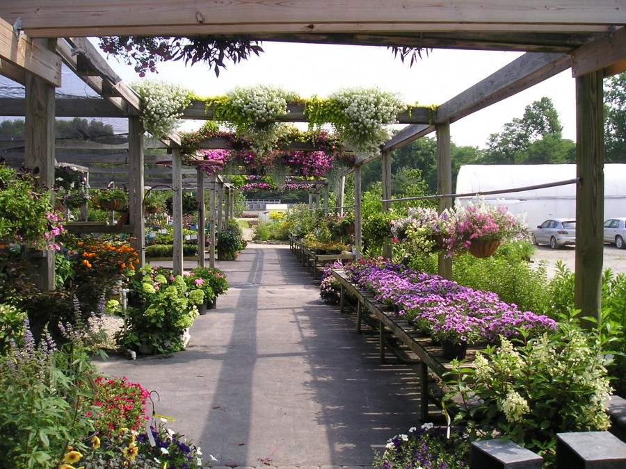 Greenfield Plant Farm | Our Roots